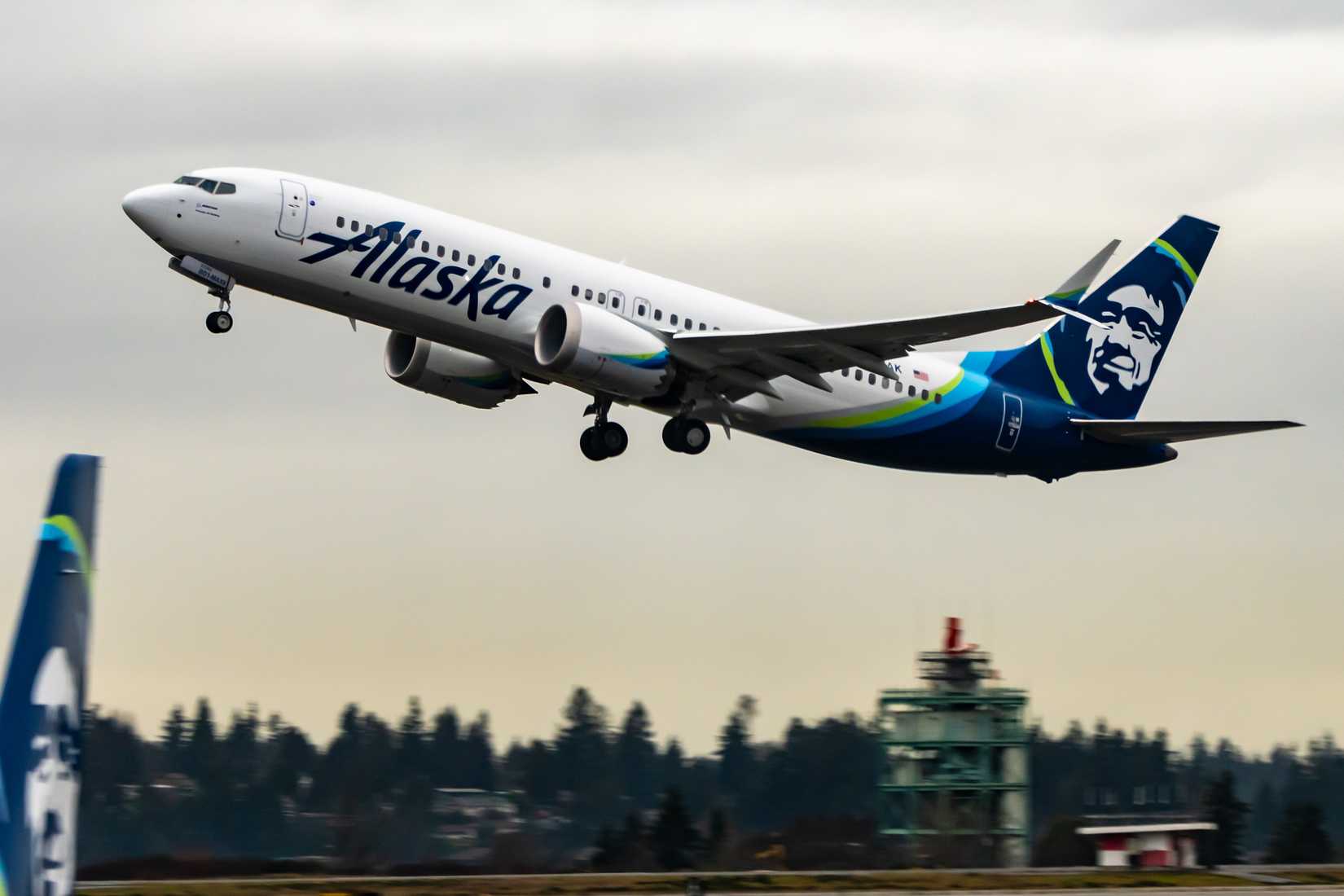 Alaska Airlines Boeing 737 MAX 8 Grounded After Deer Strike During ...