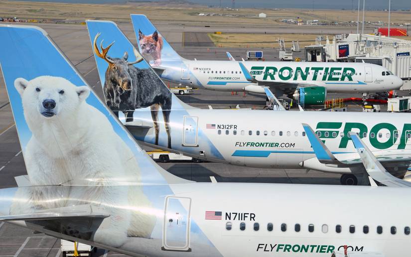 Frontier Airlines' Animal-Themed Tail Liveries: Everything You Need To Know