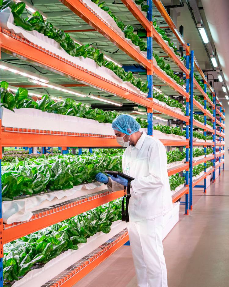 The World’s Largest Indoor Vertical Farm Is Now Fully Owned By Emirates ...
