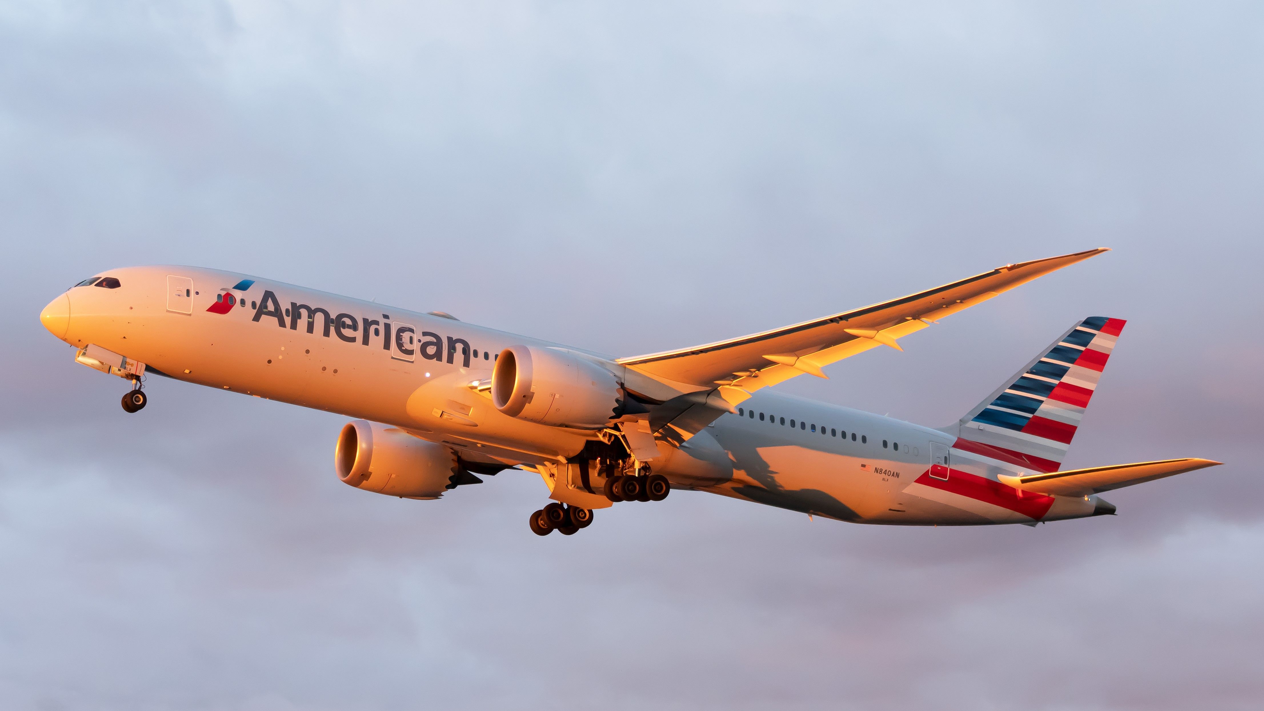 American Airlines' Dog Policy: 5 Things To Know