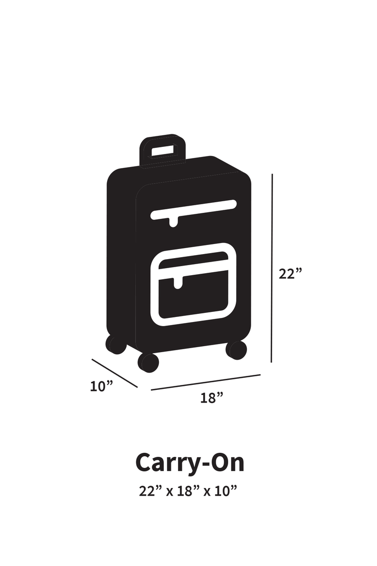 Spirit Airlines Baggage Fees: Everything You Need To Know
