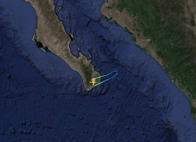 Boeing 737 Engine Failure Forces Southwest Airlines Flight Return To ...