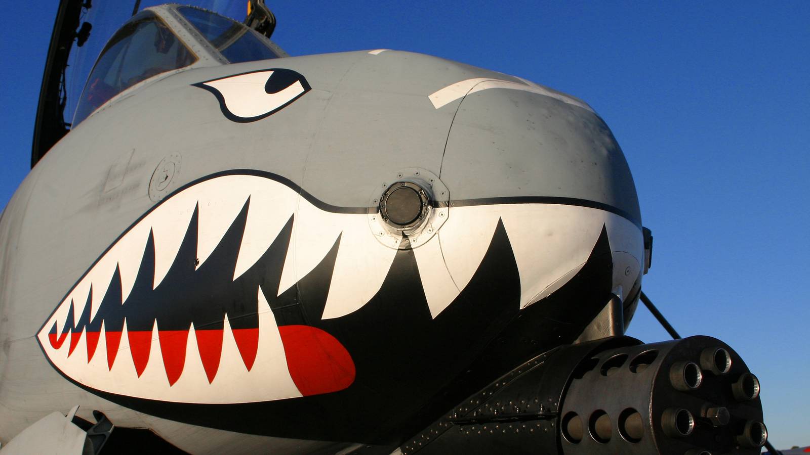 Why Do Military Aircraft Have Nose Art Decals?