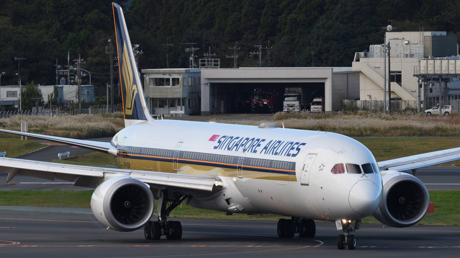 Is It Better For Flag Carrier Airlines To Be State Owned Than Privately ...