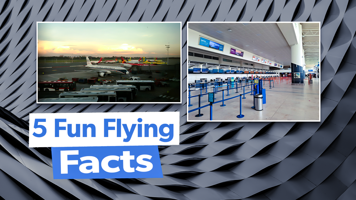 Unexpected Quirks: 5 Fun Facts You Might Not Know About Flying