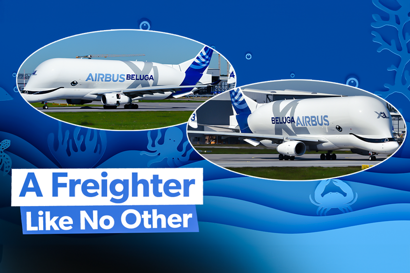 Airbus Beluga Transport: Everything You Need To Know