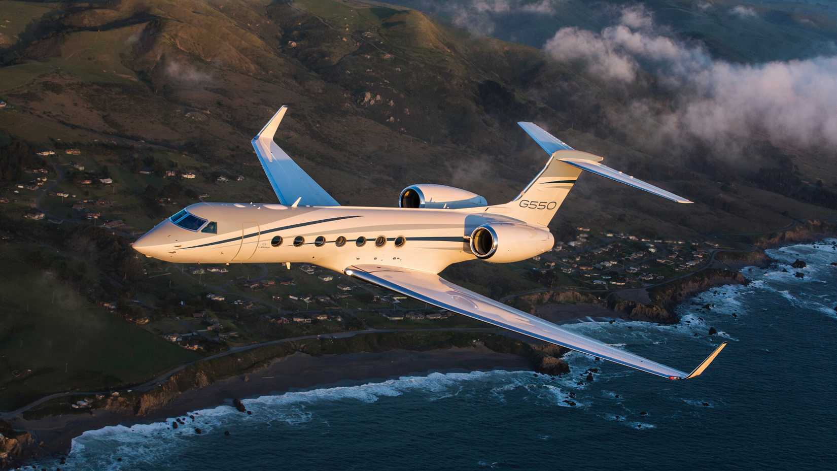 Does Elon Musk Have A Private Jet?