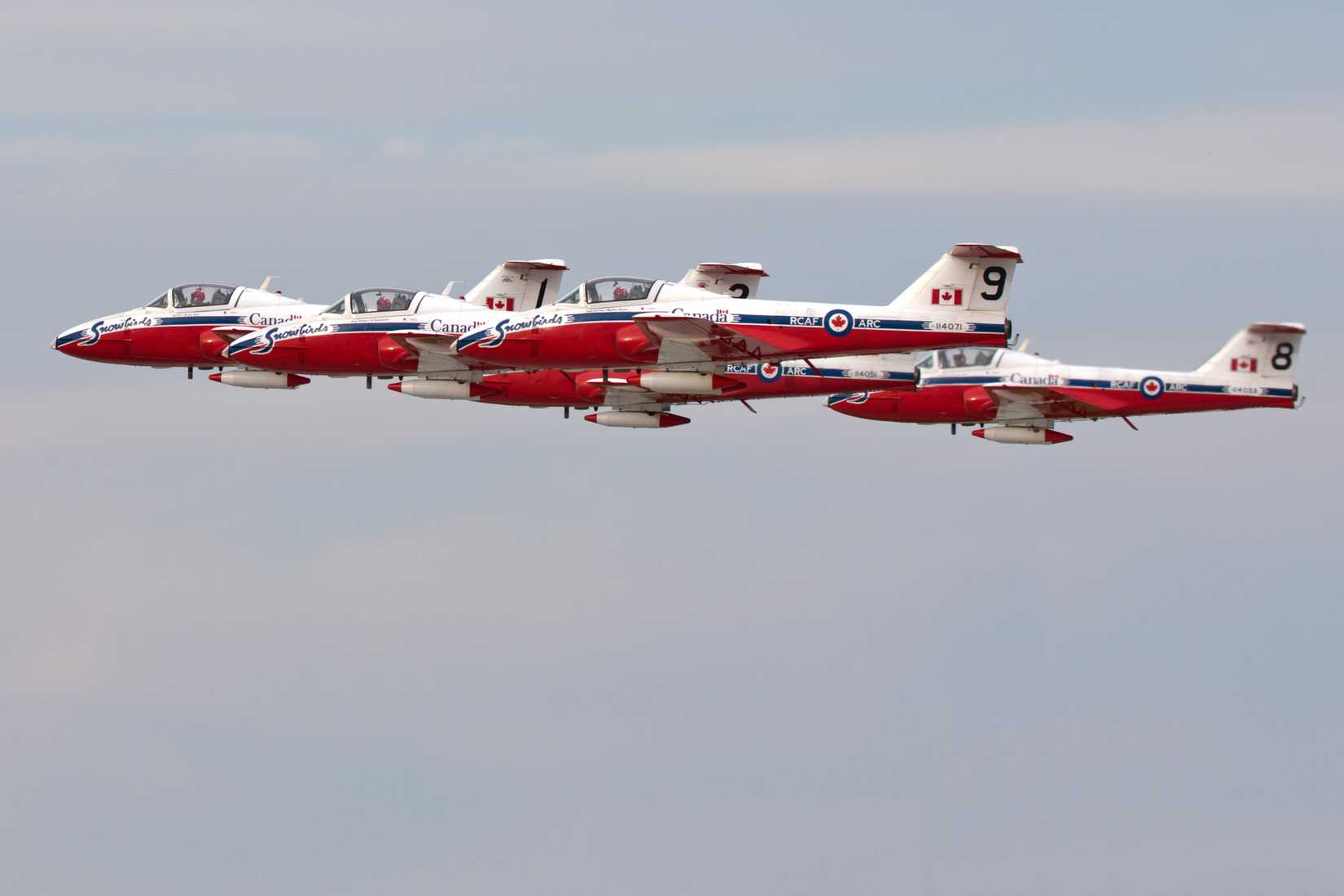 What Is The Most Popular Fighter Jet In The Royal Canadian Air Force?