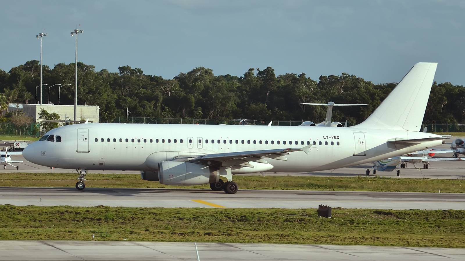 White Tail Aircraft: A Brief Guide