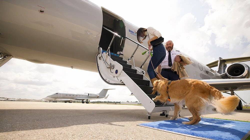 US Dog Charter Airline Bark Air Faces Lawsuit Following 1st Flight