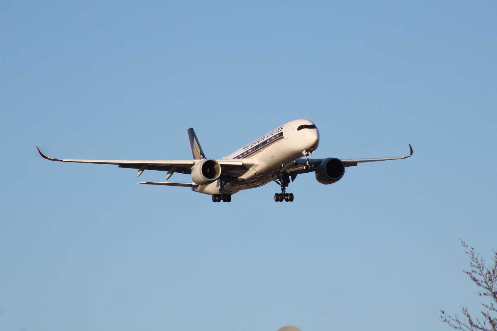 Ultra-Long-Haul: A Look At Singapore Airlines' 5 Longest Routes