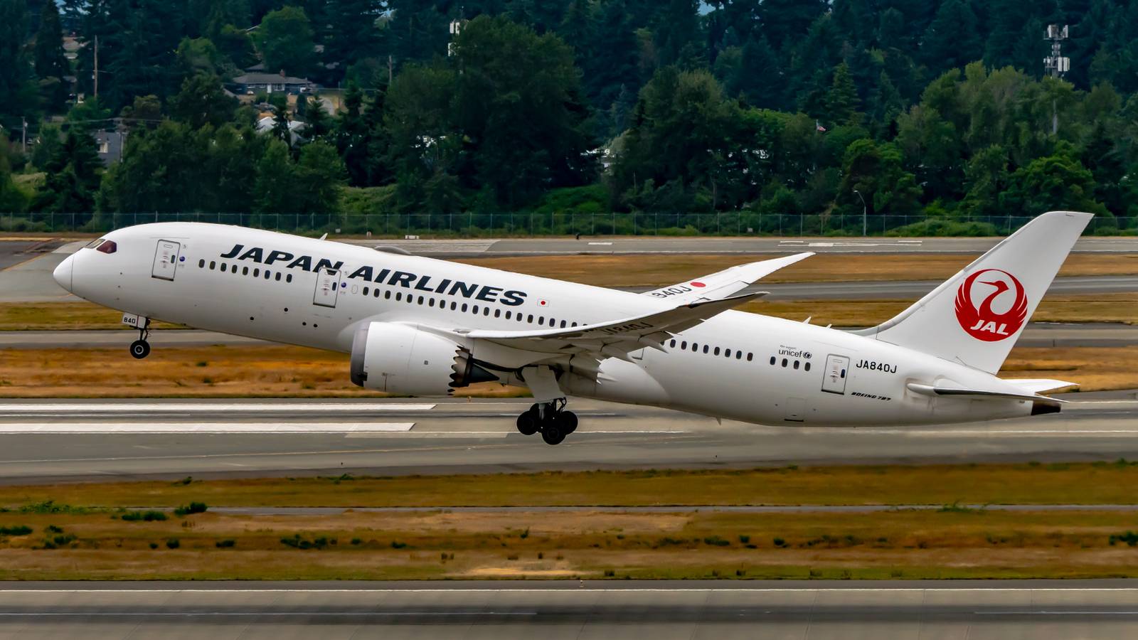 Japan Airlines Says North America Is Crucial To Its Success