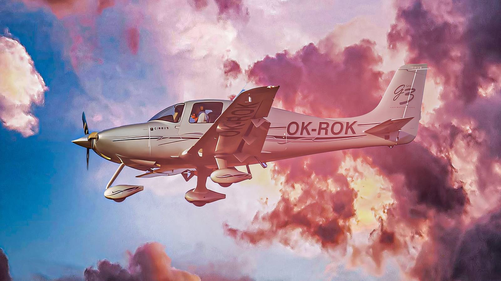 Not Just Cessna: A Closer Look At Other 5 Single Engine Piston Aircraft