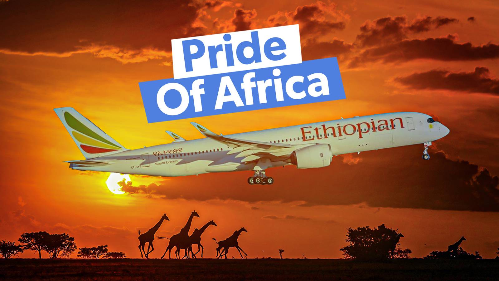 The Pride Of African Aviation: Analyzing Ethiopian Airlines' Fleet In 2024