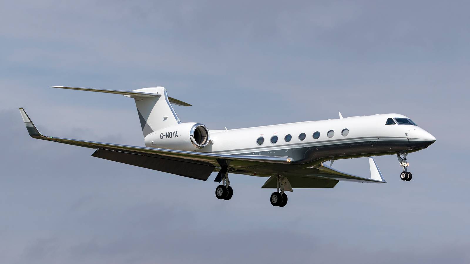 Air Partner Creates The Paddy Airlines Experience In Partnership with ...