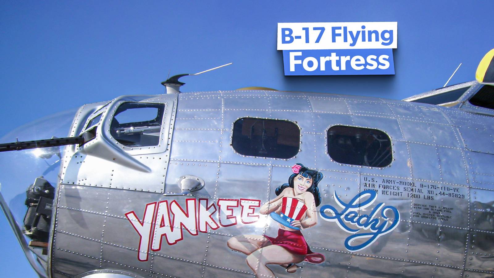 The 5 Most Iconic Aircraft Liveries in US Military History