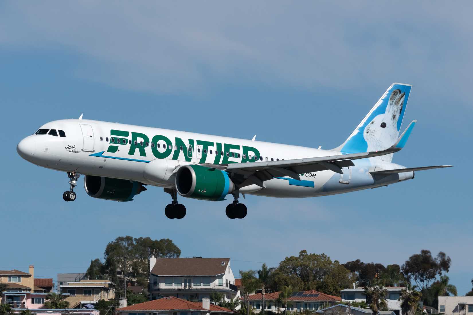 Frontier Airlines' Animal-Themed Tail Liveries: Everything You Need To Know