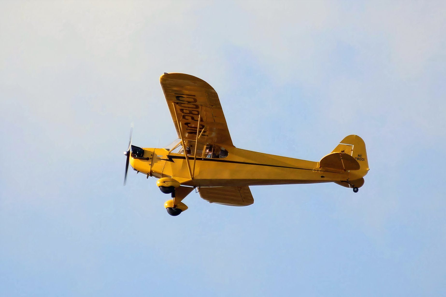 Five Unique Features On The Piper Cub Trainer
