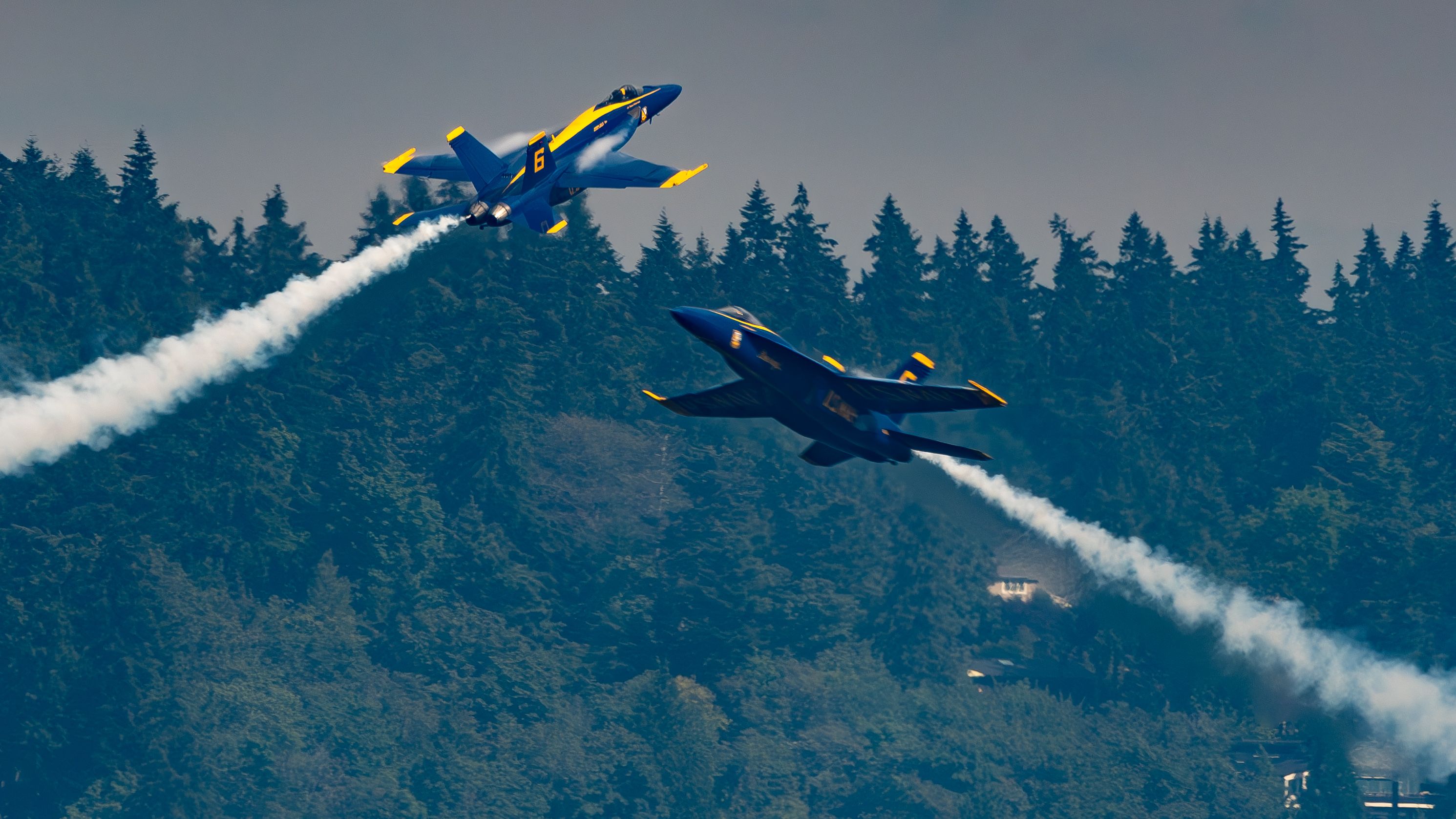 How The US Navy Blue Angels Coordinate Their Maneuvers