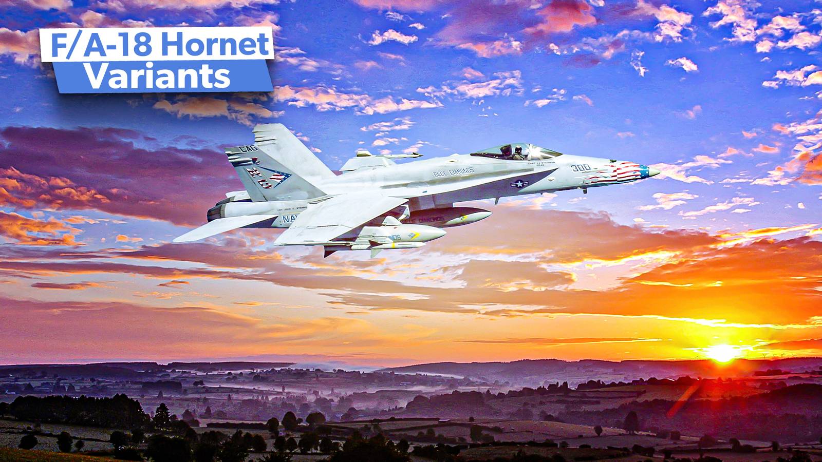 What air forces operated land-based F/A-18s