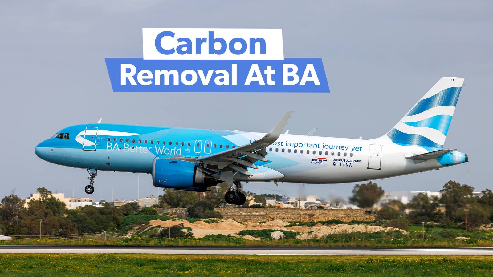 Explained: The Importance Of Carbon Removals In British Airways' Sustainability Strategy