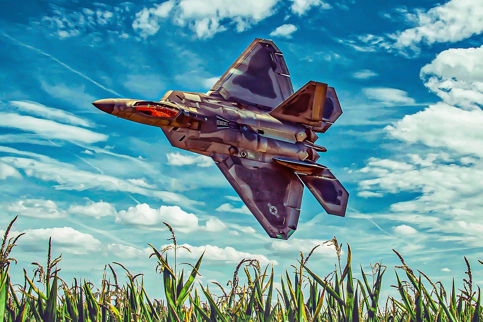 Can Any USAF Aircraft Perform A Cobra Maneuver?