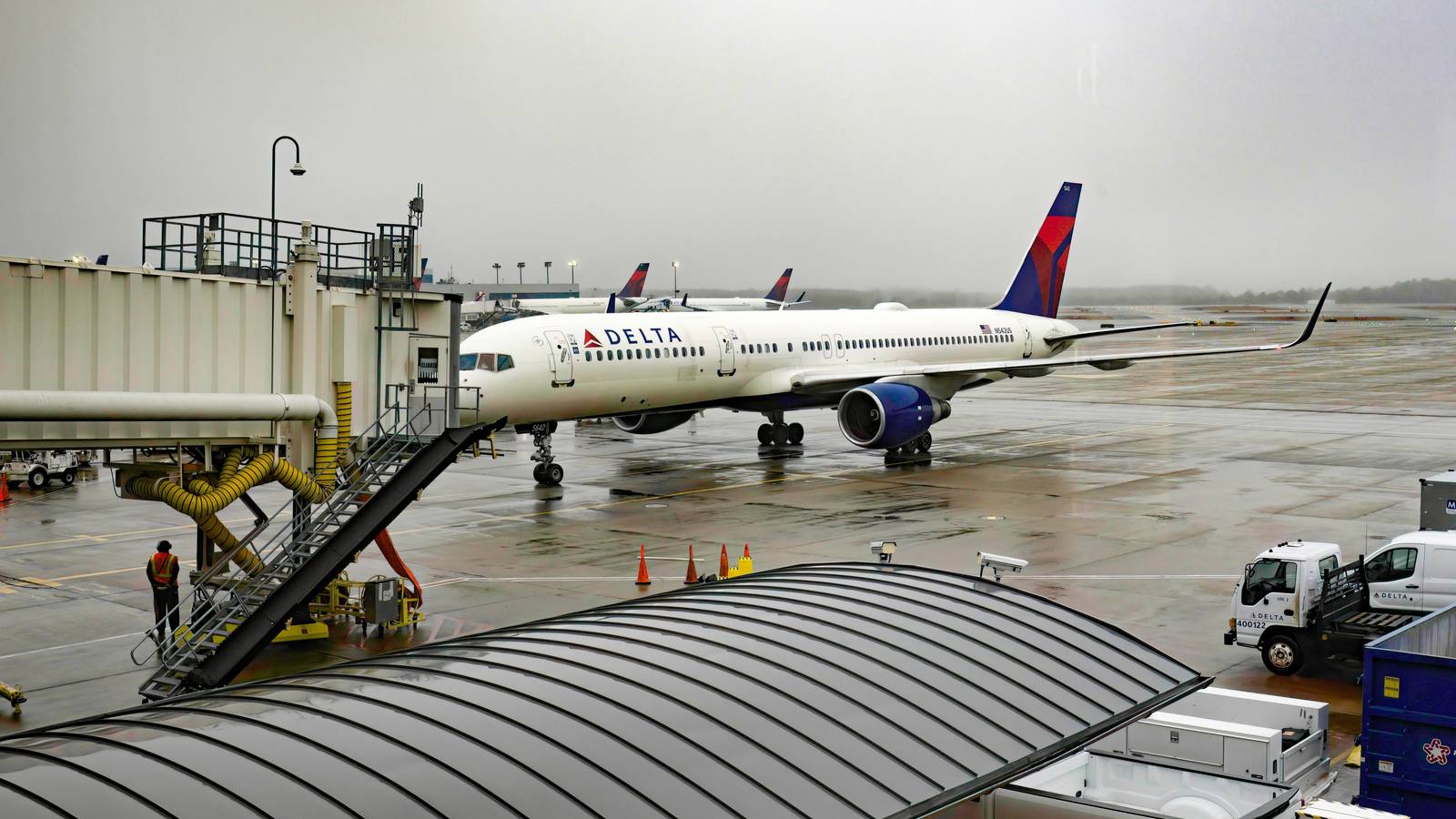 Was Delta Air Lines Right To Remove Passenger With Shellfish Allergy ...