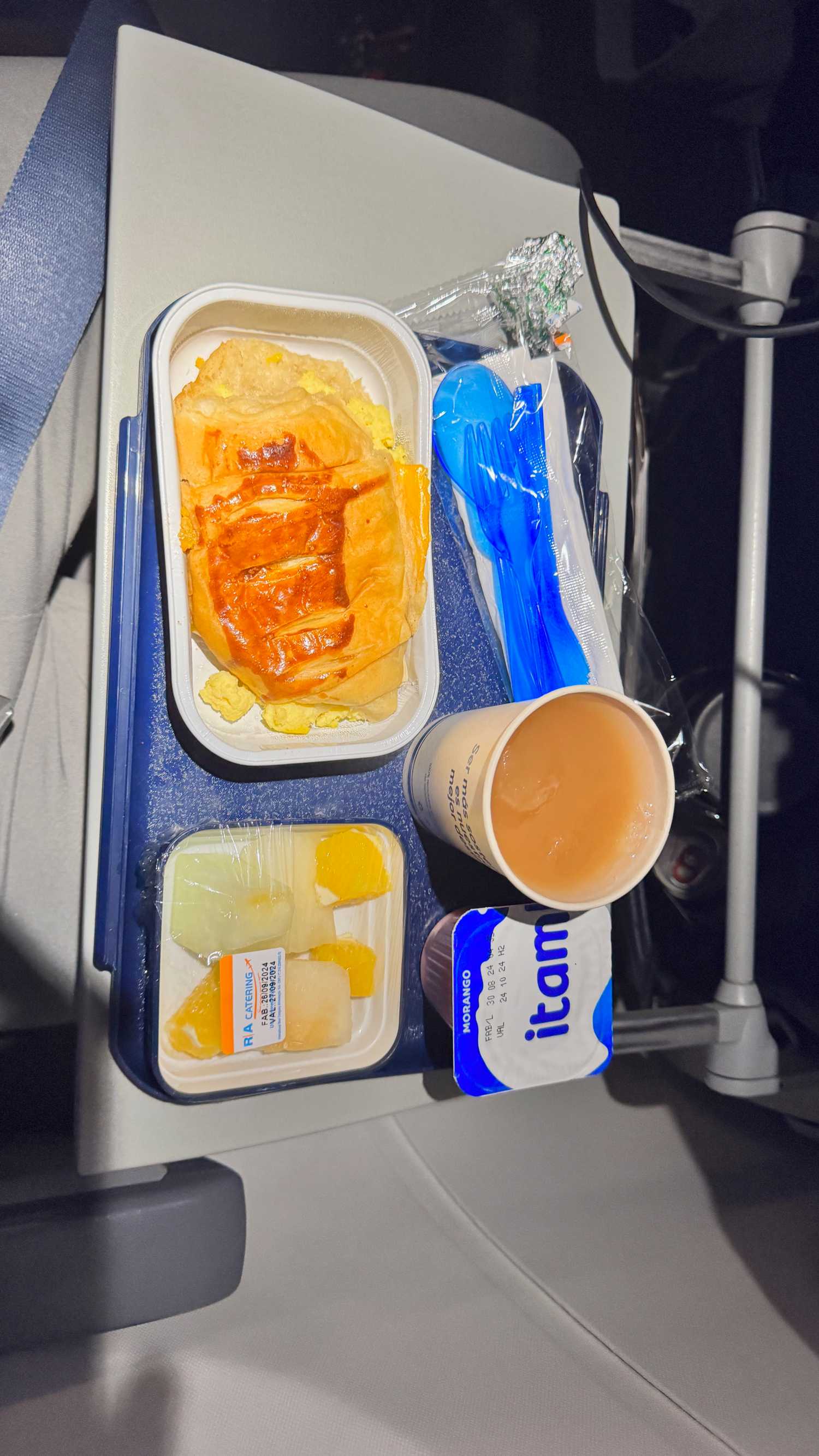 Flight Review: Copa Airlines Boeing 737-800 Economy Class From Belo ...