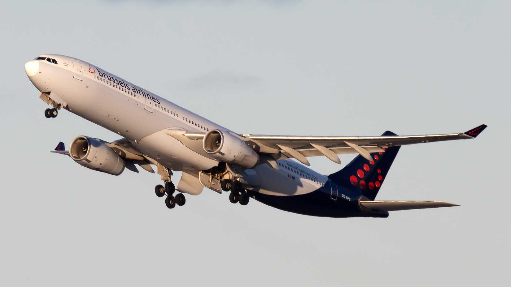 What Airlines Operate An All-Airbus Fleet?