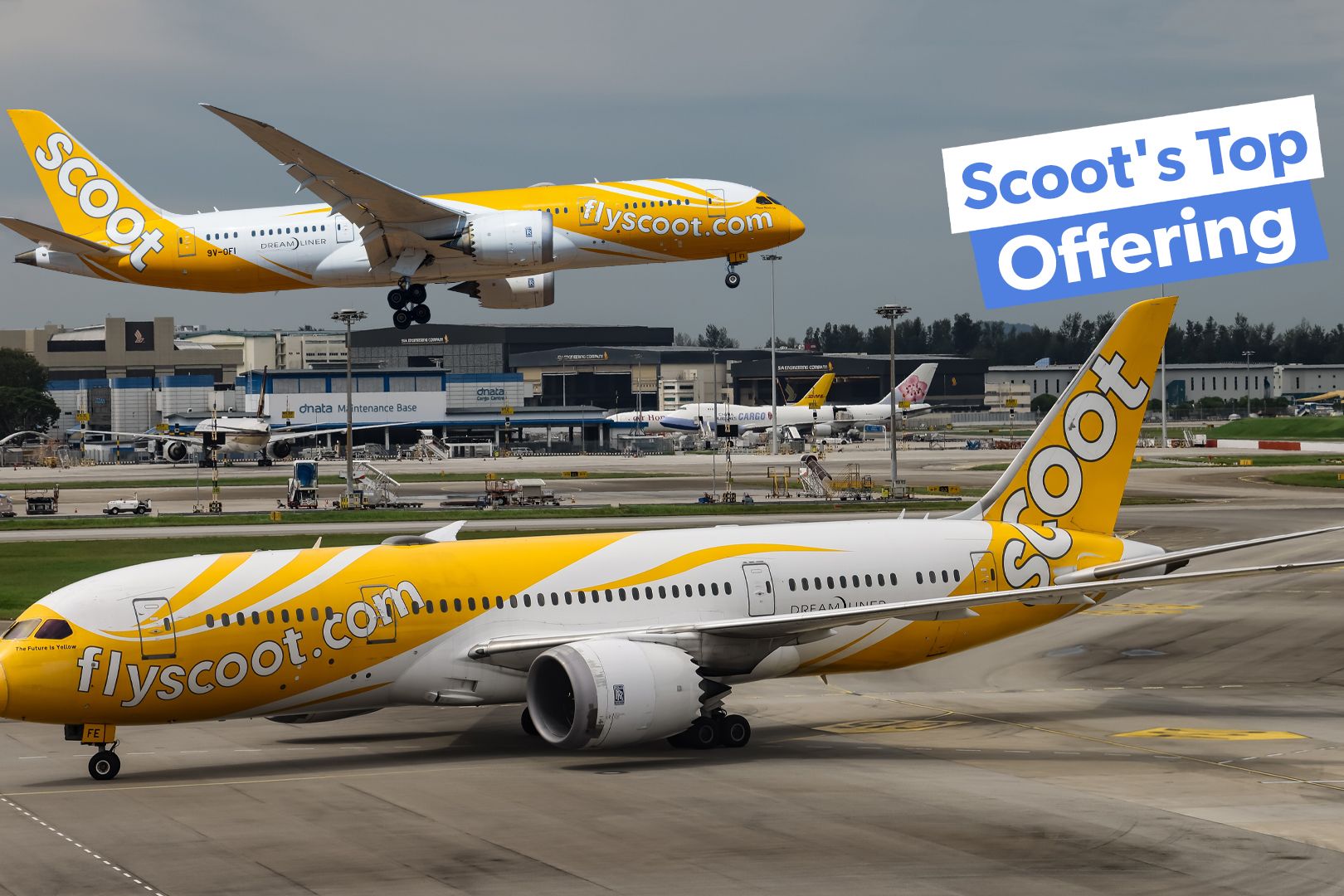 Scoot's Busiest Boeing 787 Dreamliner Routes This Year: What To Expect ...