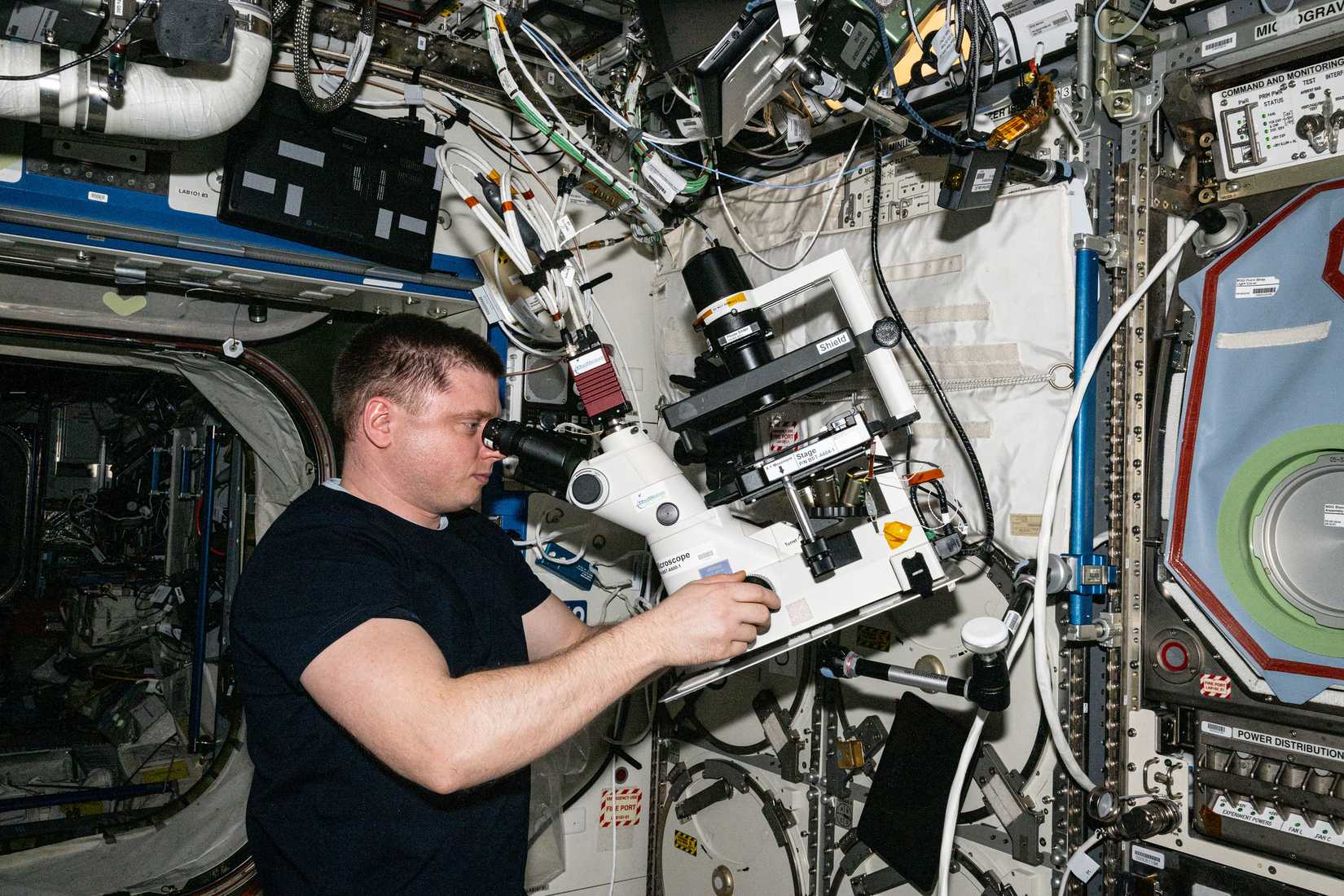 SpaceX Crew-8 Astronauts Enter Dragon & Undock From ISS For Return Home