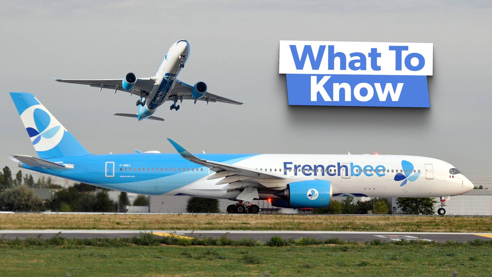 French bee's Ticket Types: A Brief Guide