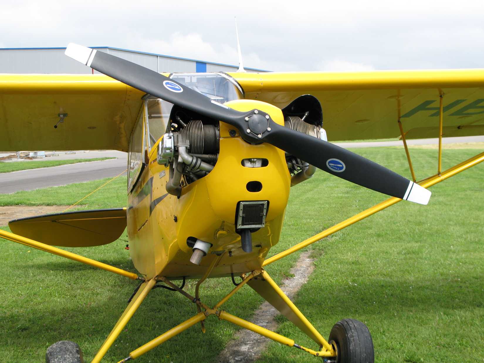 The Piper Cub: Everything You Need To Know