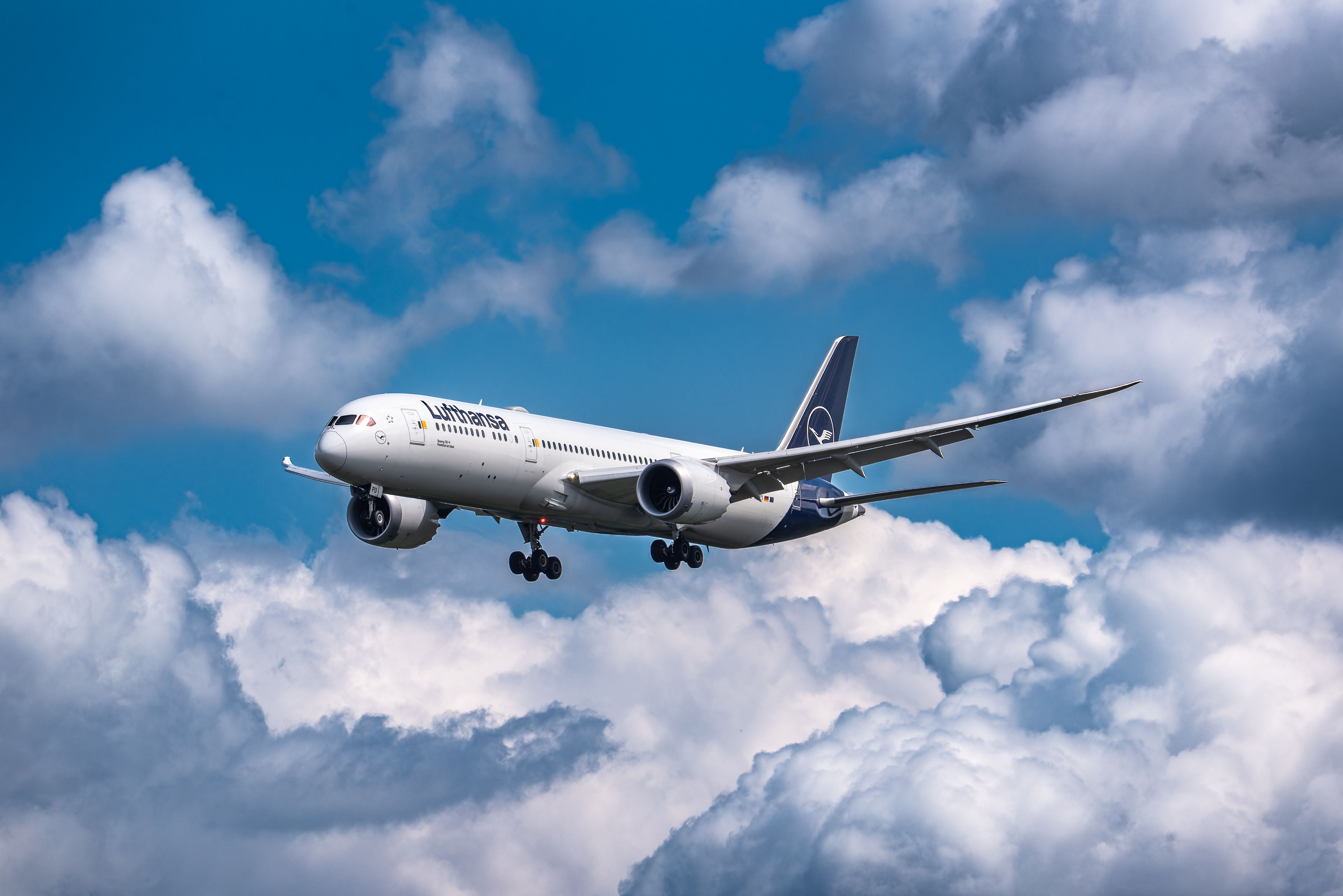The Story Behind The Boeing 787 Dreamliner's Impressive Wing Flex