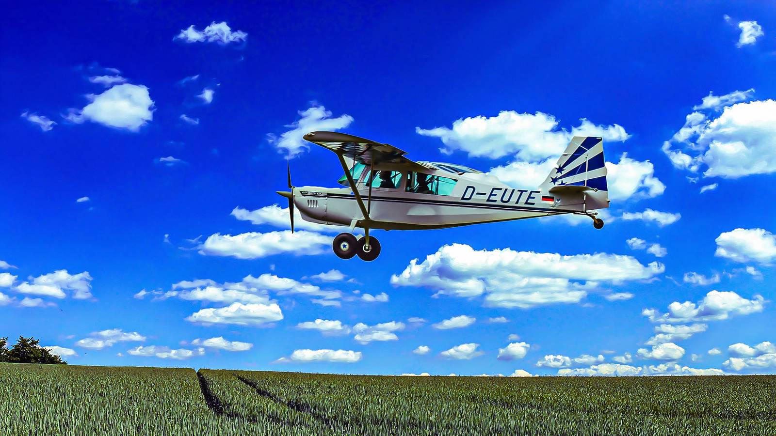 The 5 Unique Aircraft That American Champion Has Offered