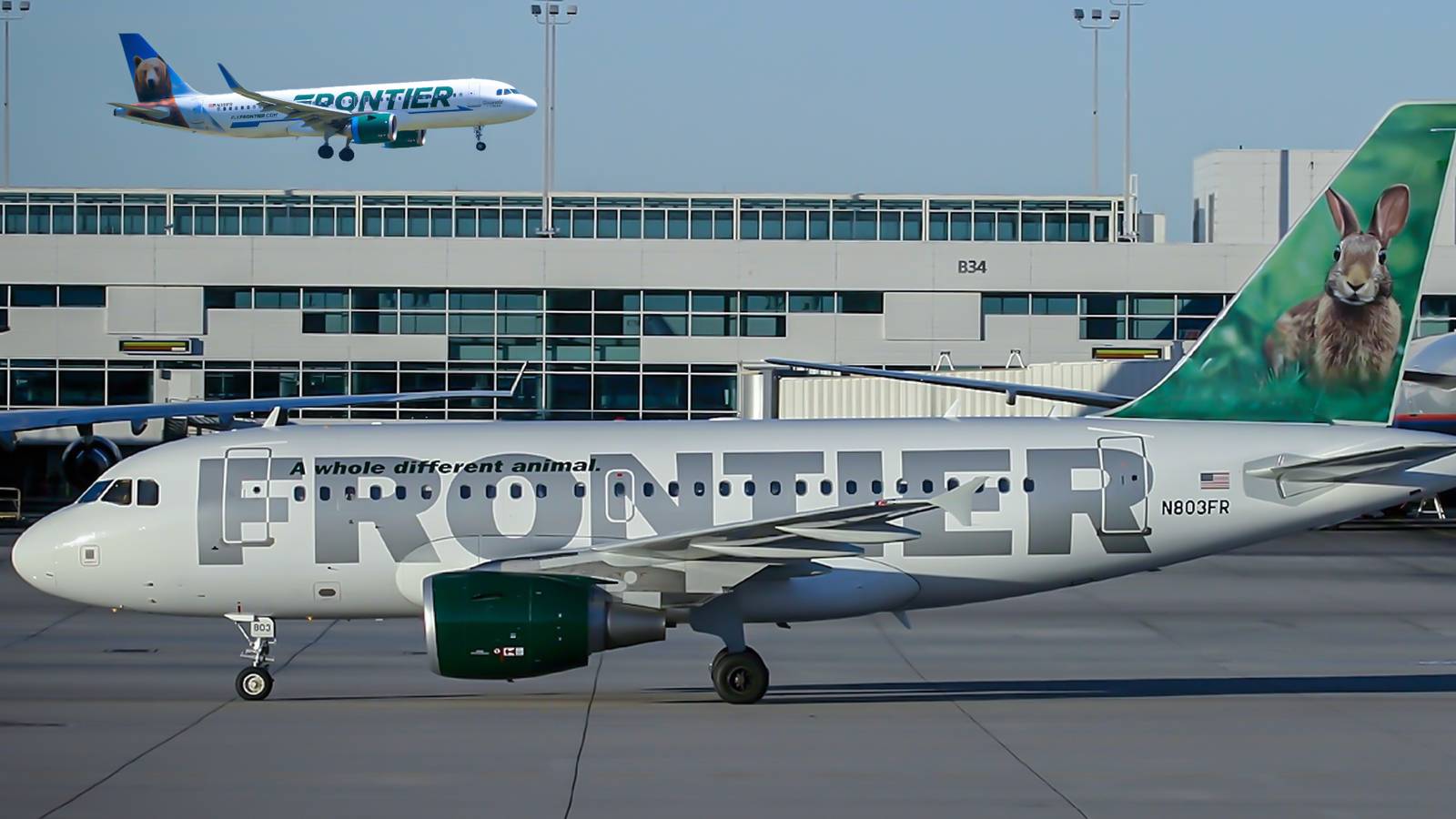 Frontier Airlines: A Brief History Of The Budget Carrier
