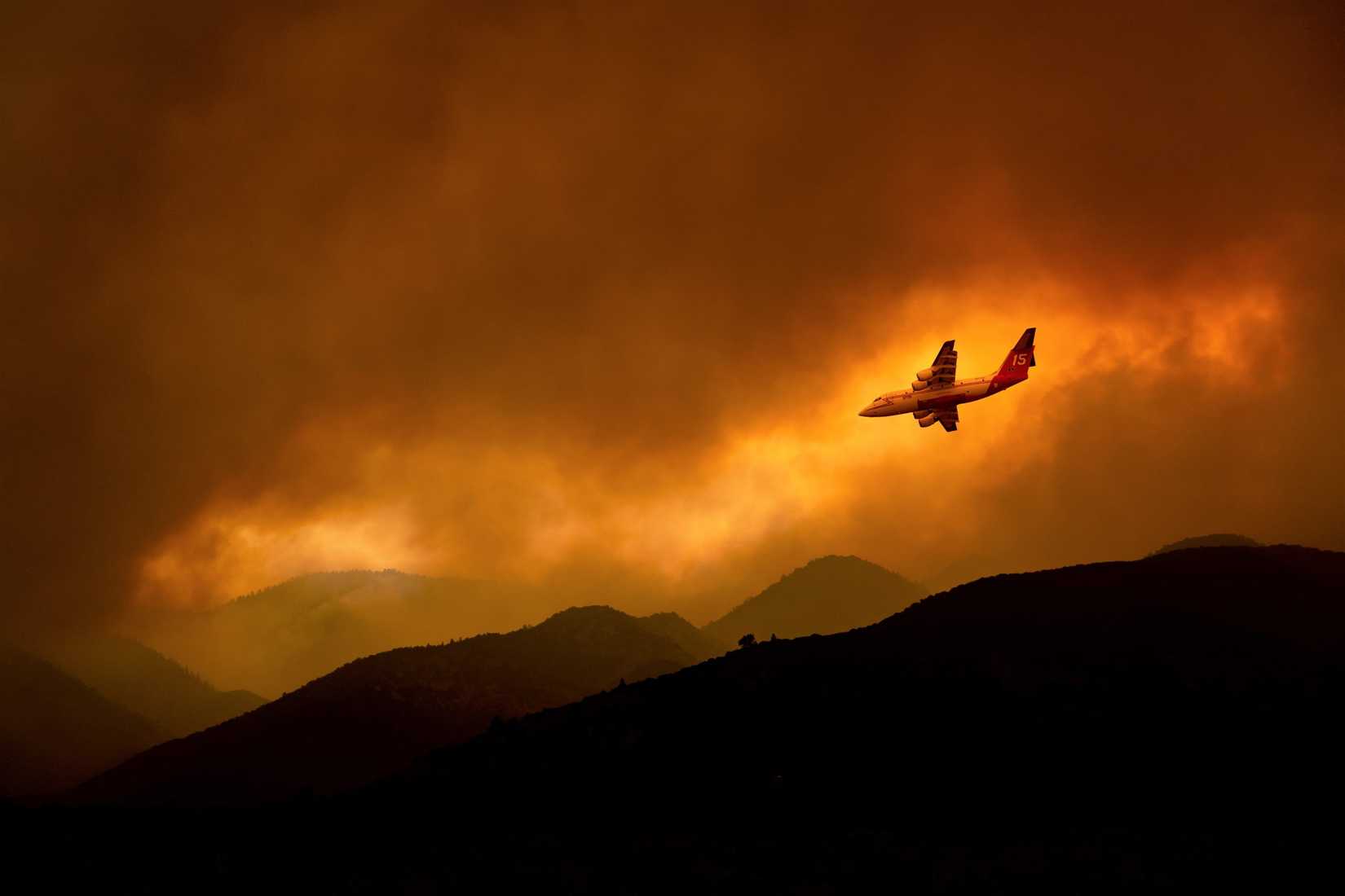 Examined: The Top Aerial Firefighting Companies In The US & The Planes ...