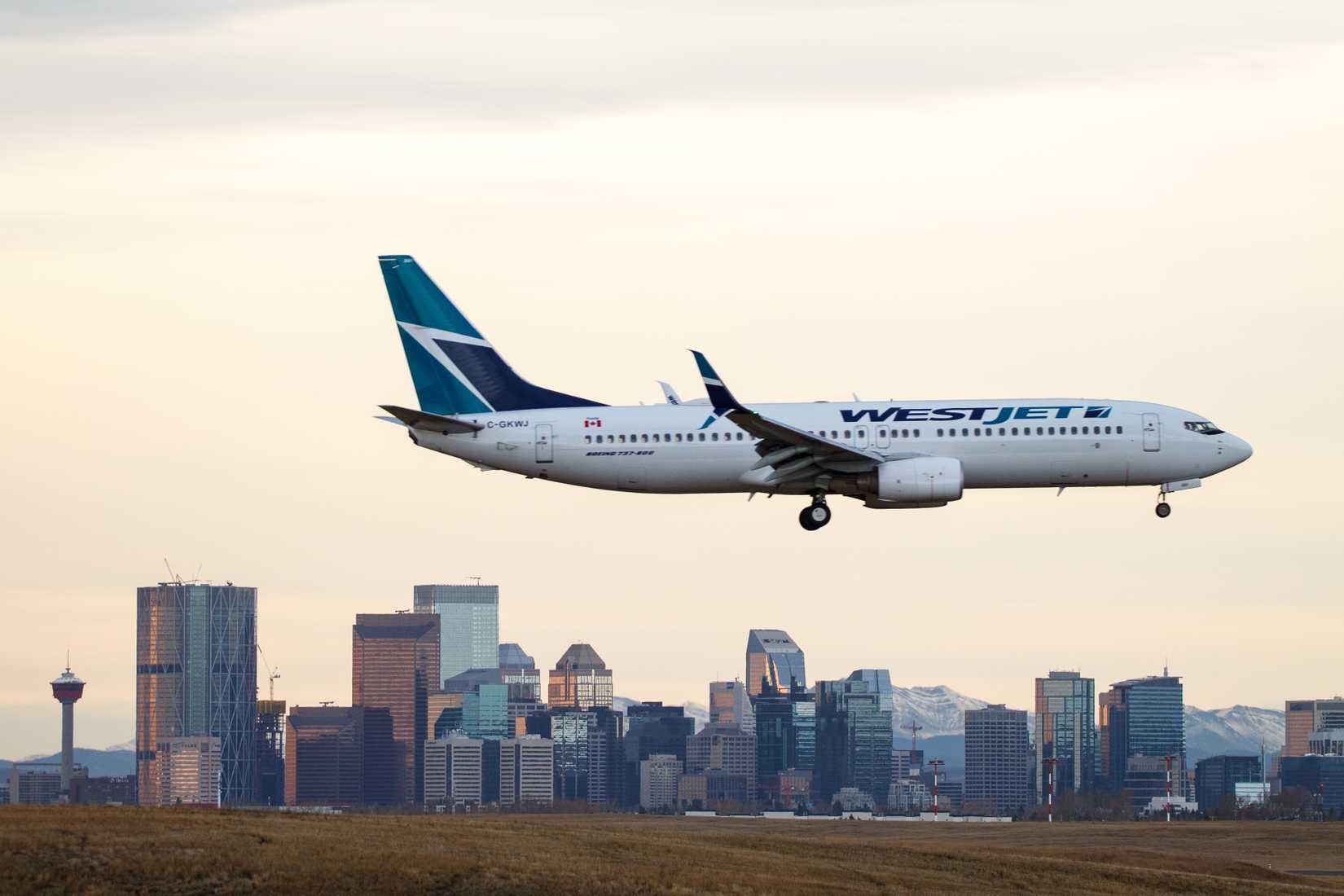 Are Split Scimitar Winglets Really That Efficient?