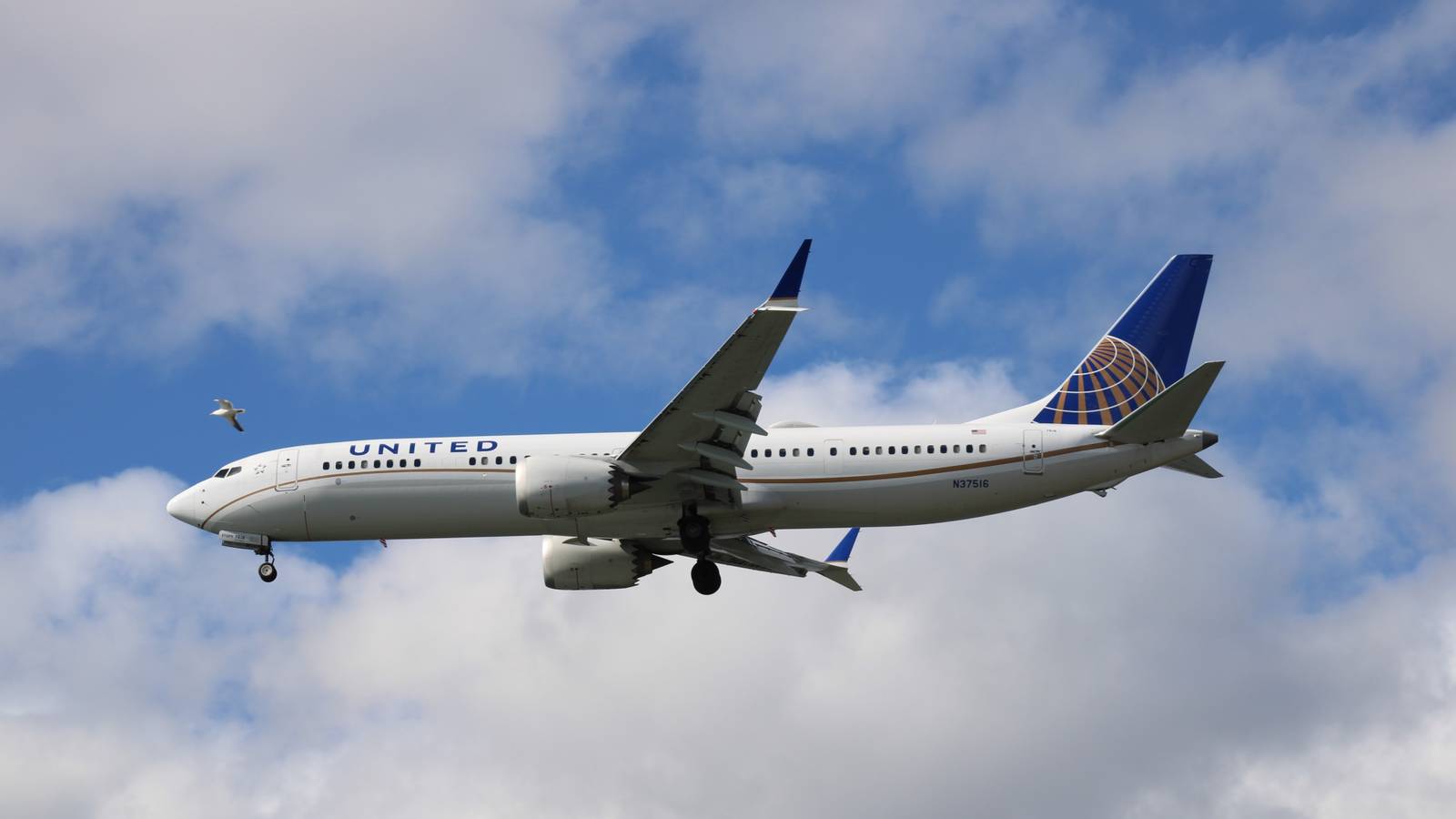 ‘Most Fuel-Efficient Aircraft’: United Airlines Receives First of 6 ...