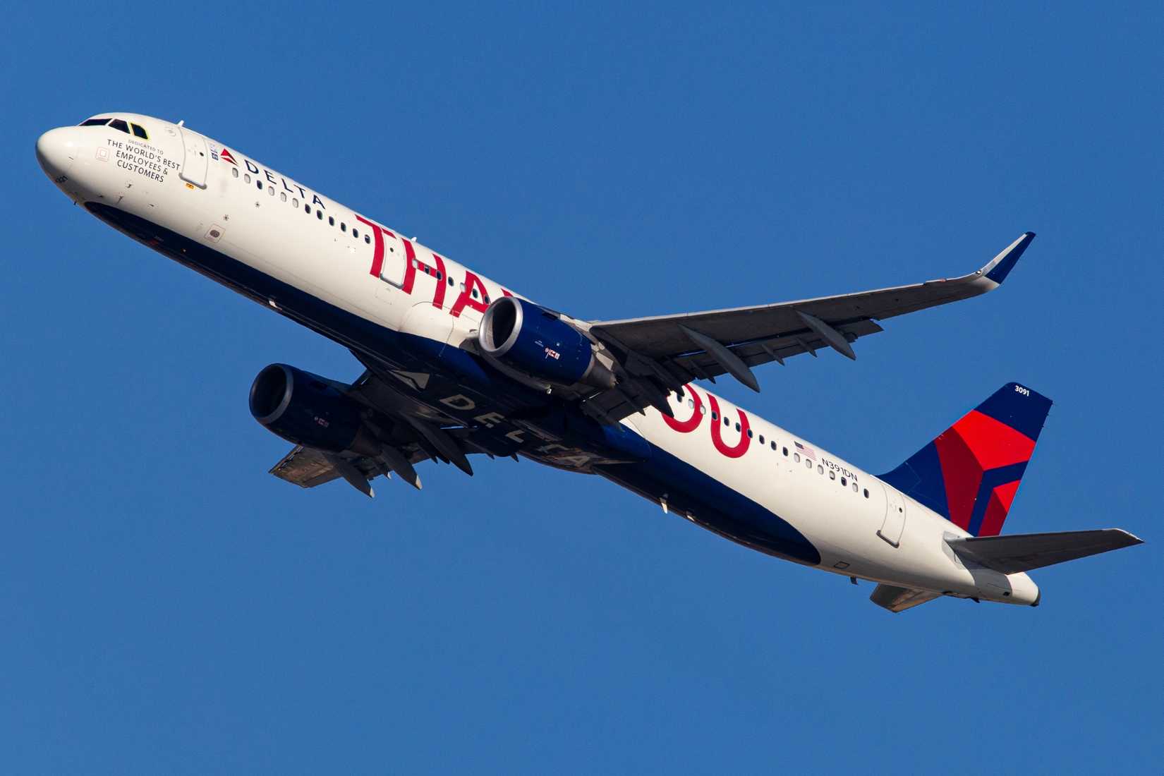 Which Delta Air Lines Planes Have Special Liveries & Why?