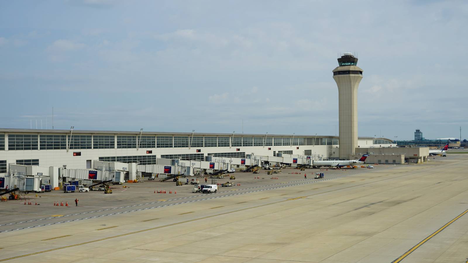Customs & Border Protection Catch Rare Fruit Fly At Detroit ...
