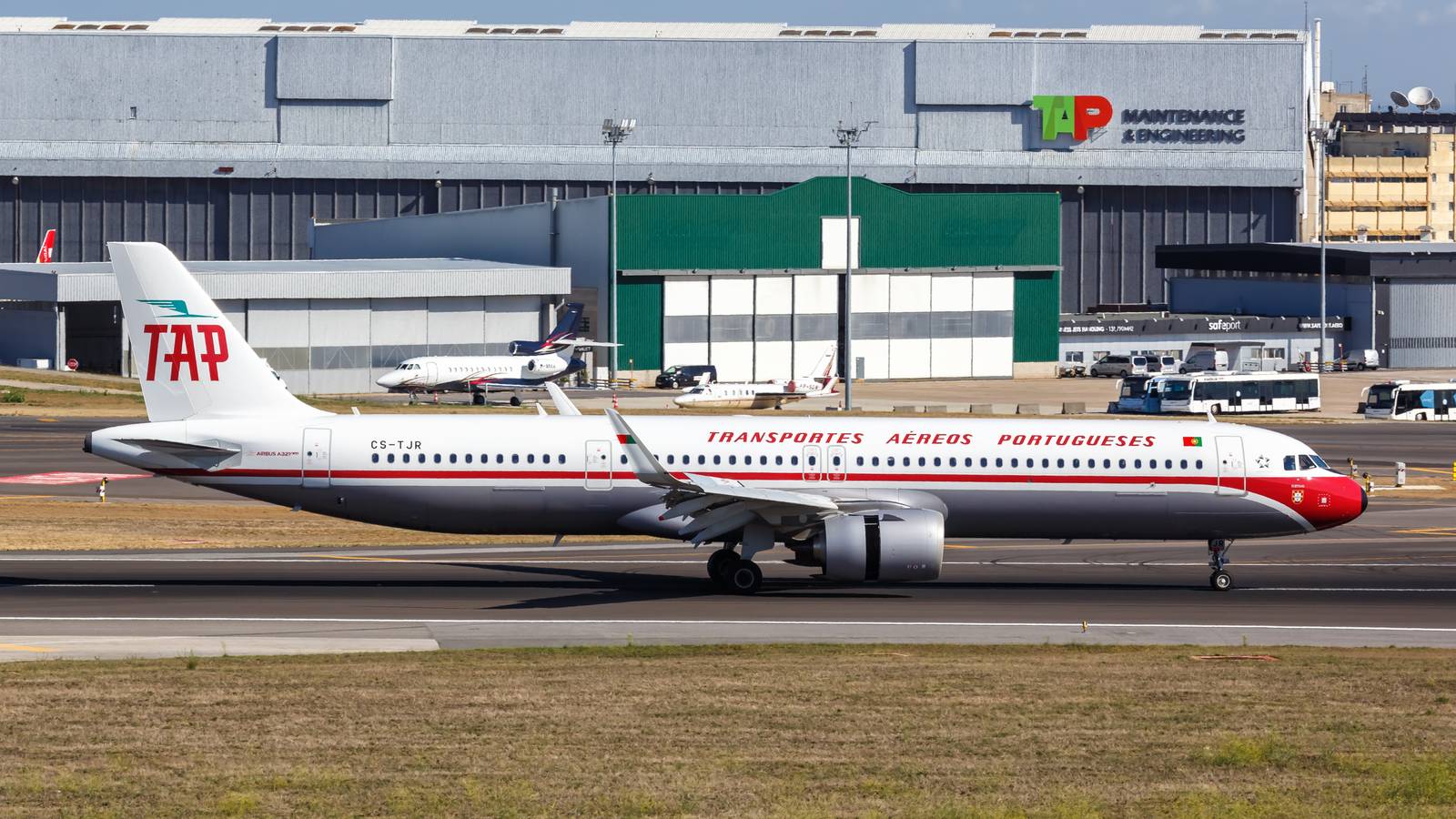 132 Hamsters Run Riot In Cargo Hold Of TAP Air Portugal Airbus A321 ...