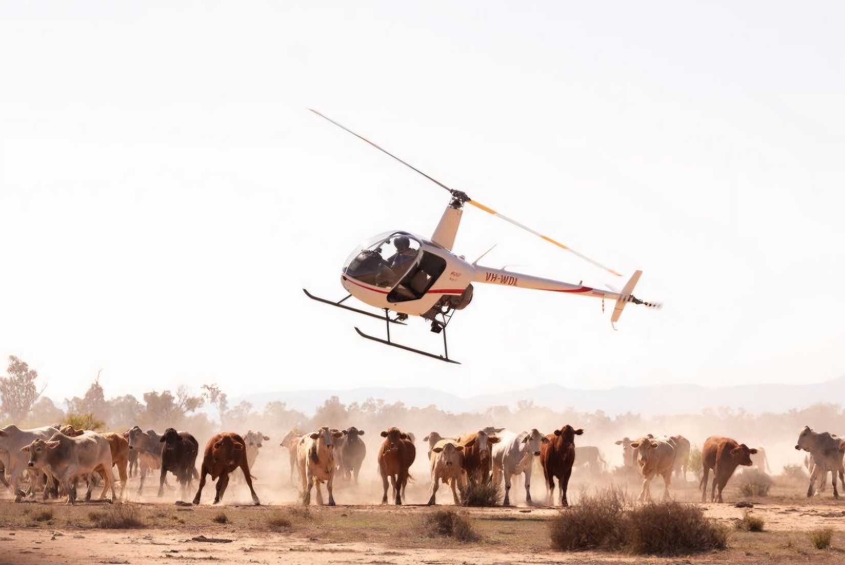 5 Helicopter Variants Produced By Robinson Helicopter Company