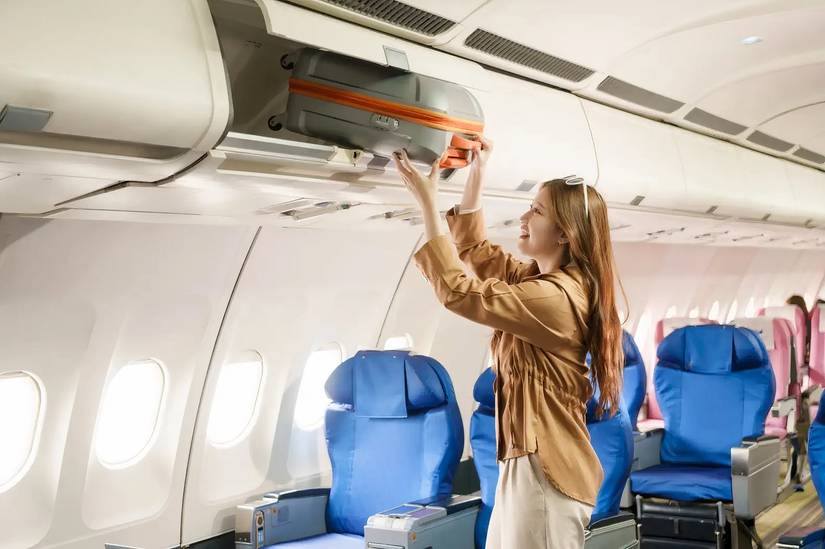 Gate Lice: What Are They And How Can Airlines & Airports Eradicate Them?