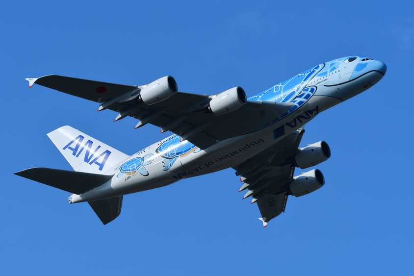 What's Inside The ANA Flying Honu Airbus A380s?