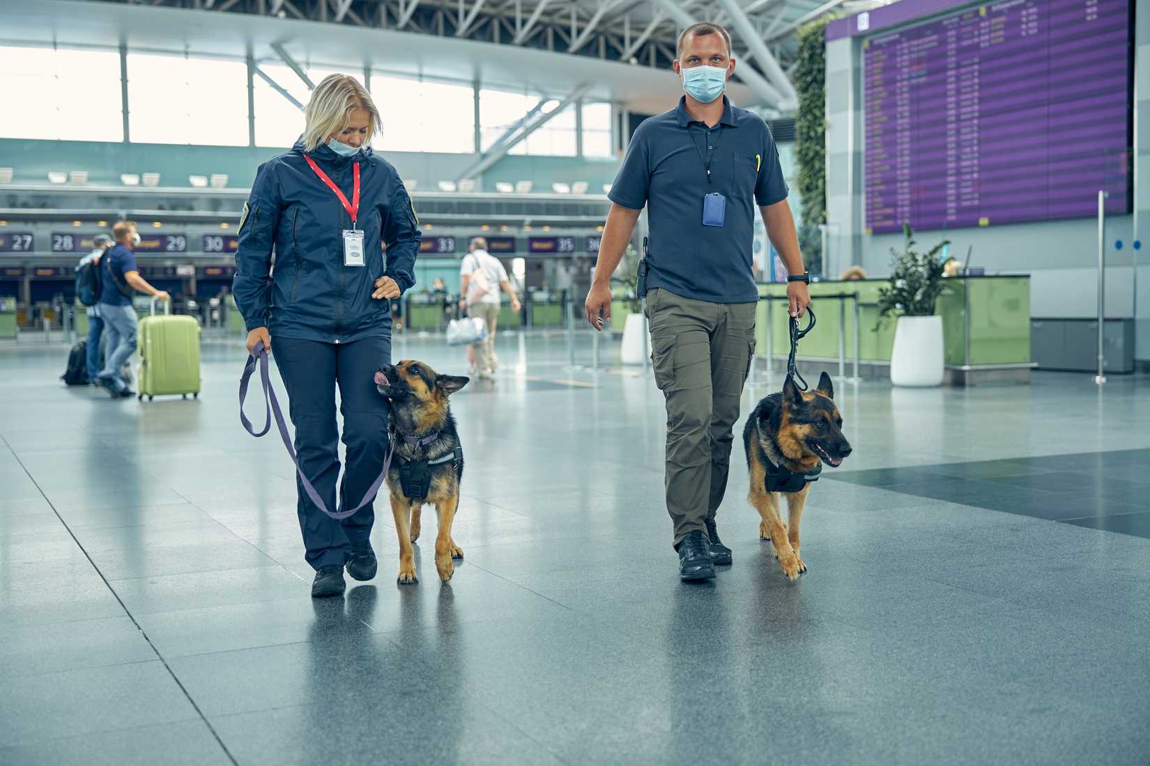 TSA Releases 2025 Canine Calendar Honoring Explosives Detection Dogs ...