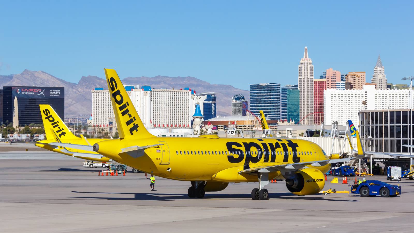 "Egregious Actions": Spirit Airlines Shareholder Calls Out CEO Who Got ...