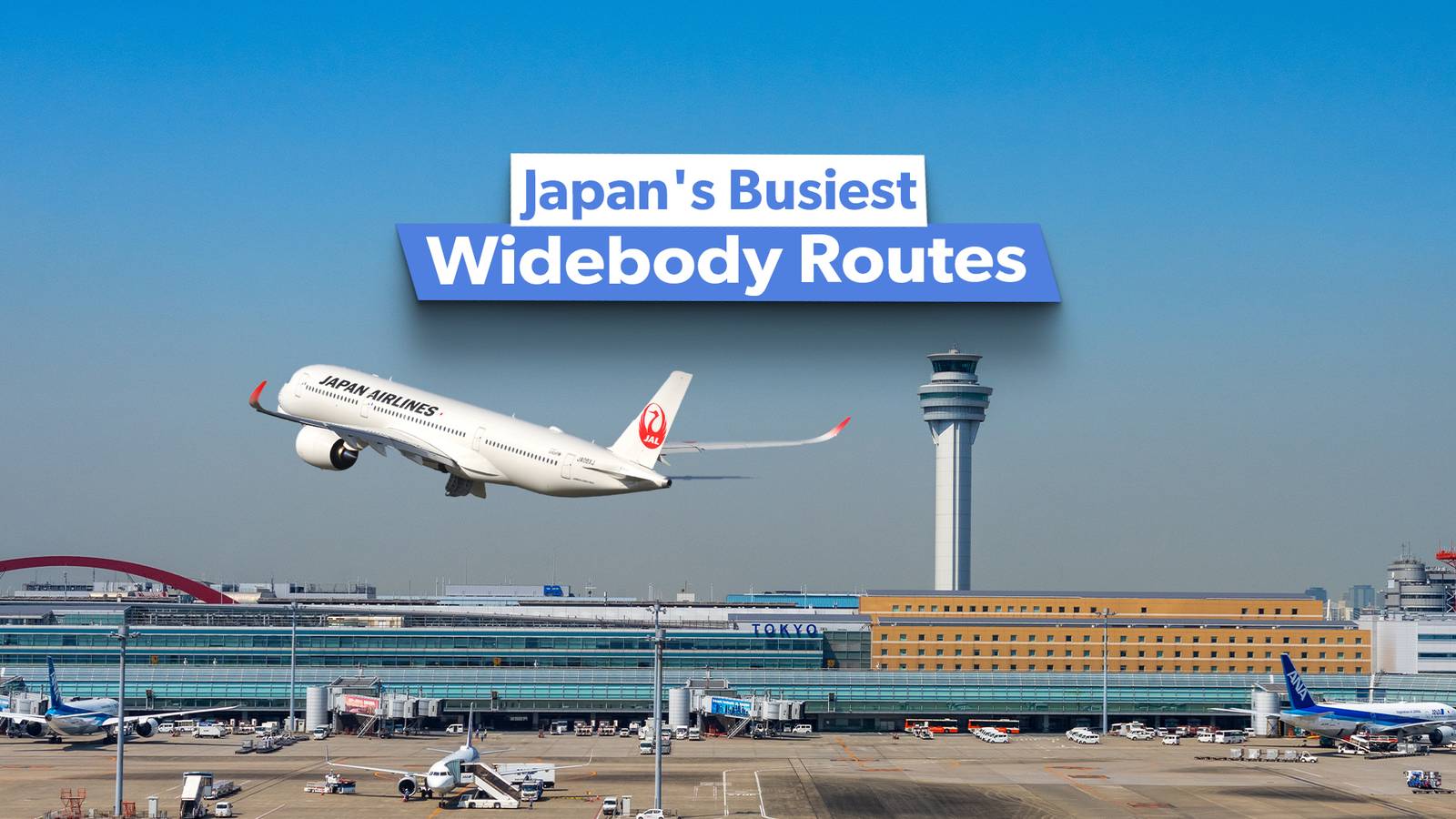 Japan's 10 Busiest Widebody Routes
