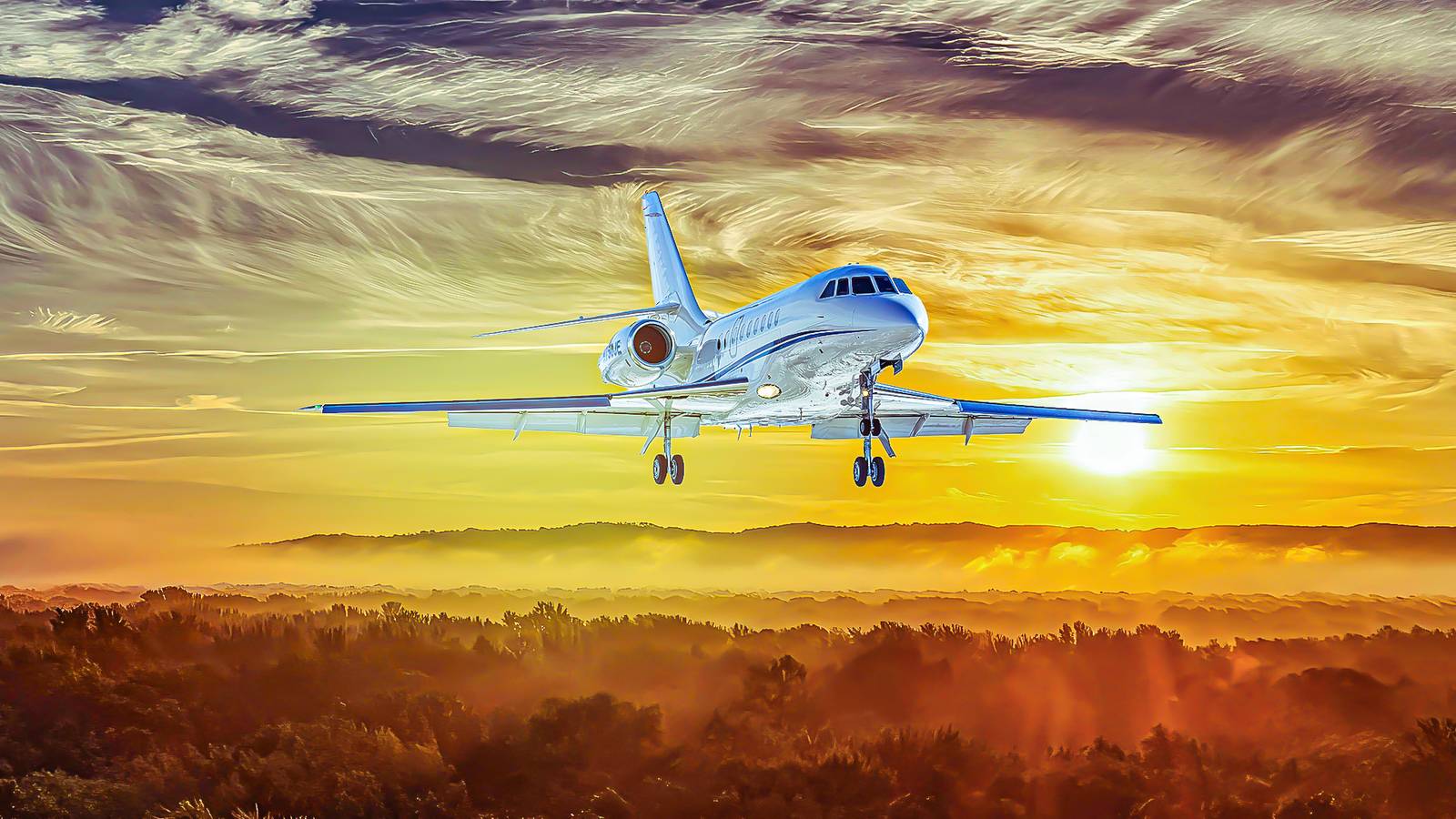 A Look At The Unique Aircraft Owned By The Tata Family