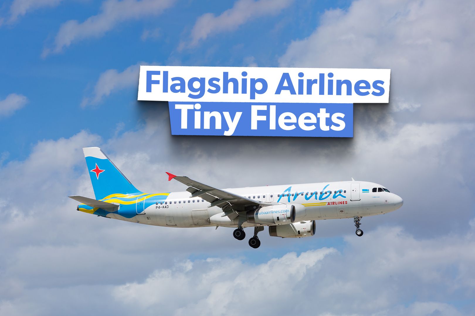 Flag Airline Carrier Logo